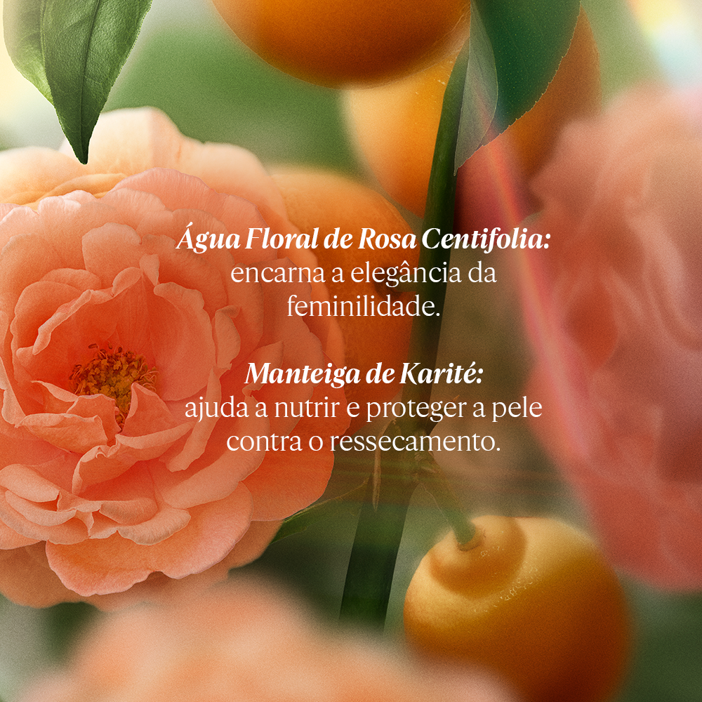 Sabonete Líquido Corporal Rose Citron Meyer 250ml | L'Occitane en Provence